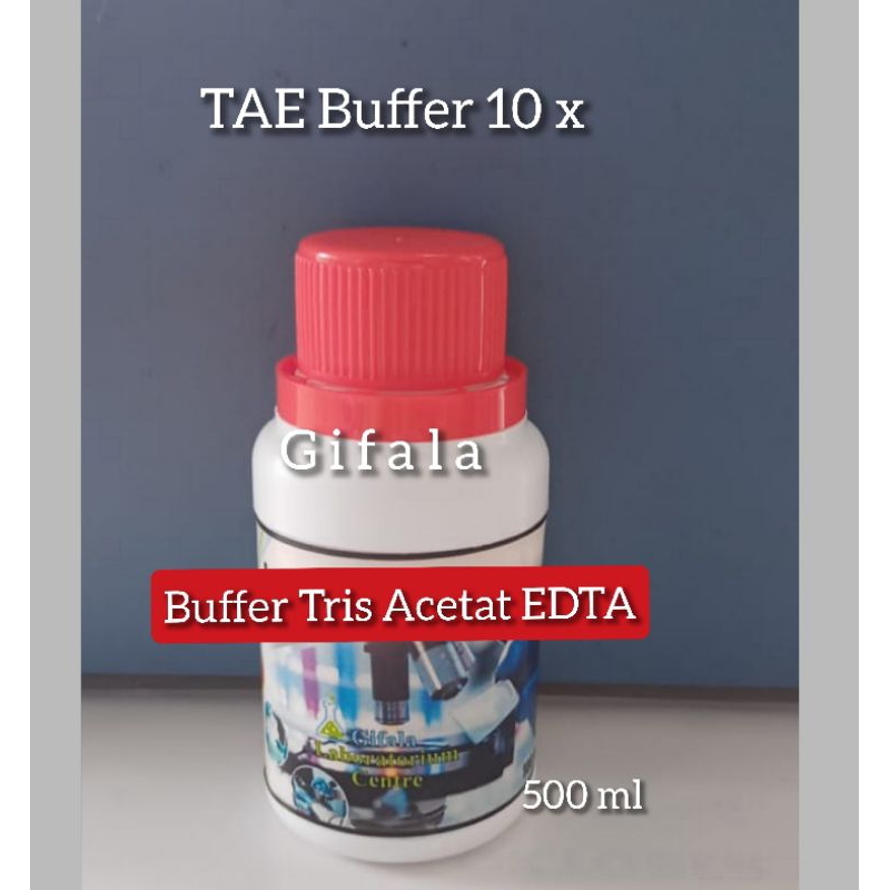 Jual Buffer Tris Acetat EDTA 10X/Buffer TAE for analisis 500ml | Shopee ...