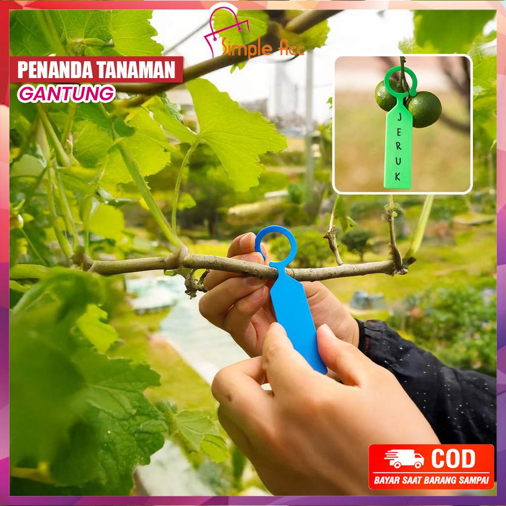 Jual DO-C1164 Plant Label Name Tag Label Penanda Tanaman Hanging Ring ...