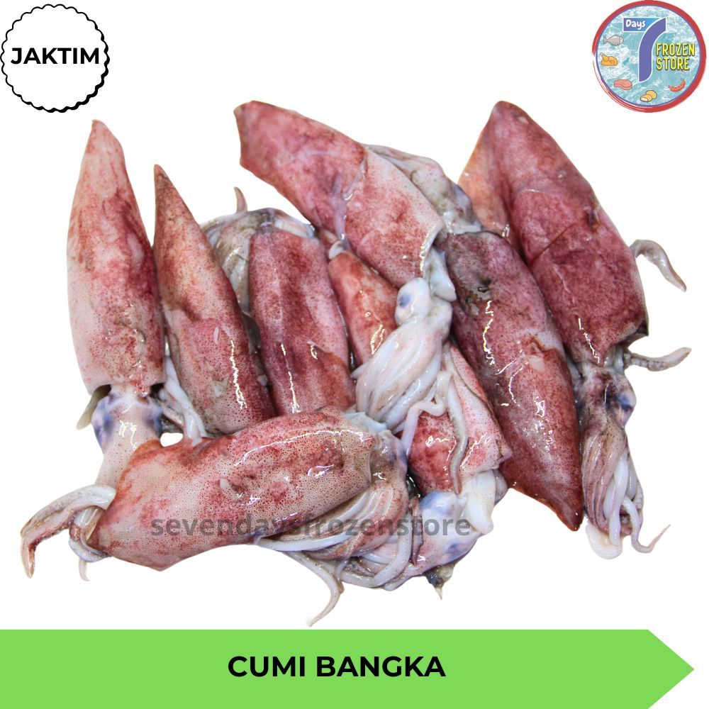 Jual Cumi Bangka Segar Jumbo Premium Utuh Beku Frozen 800 Gr | Shopee ...