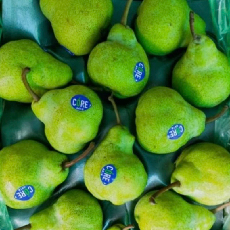 Jual PROMO Pir Packam 1kg Bogor | Shopee Indonesia