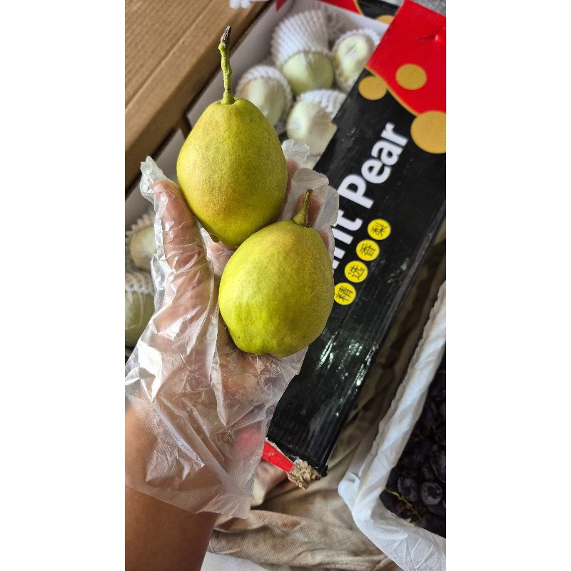 Jual Pir xiangli SU ‼️ 30.000/500gr ± ‼️manis, daging buah lembut, dan ...