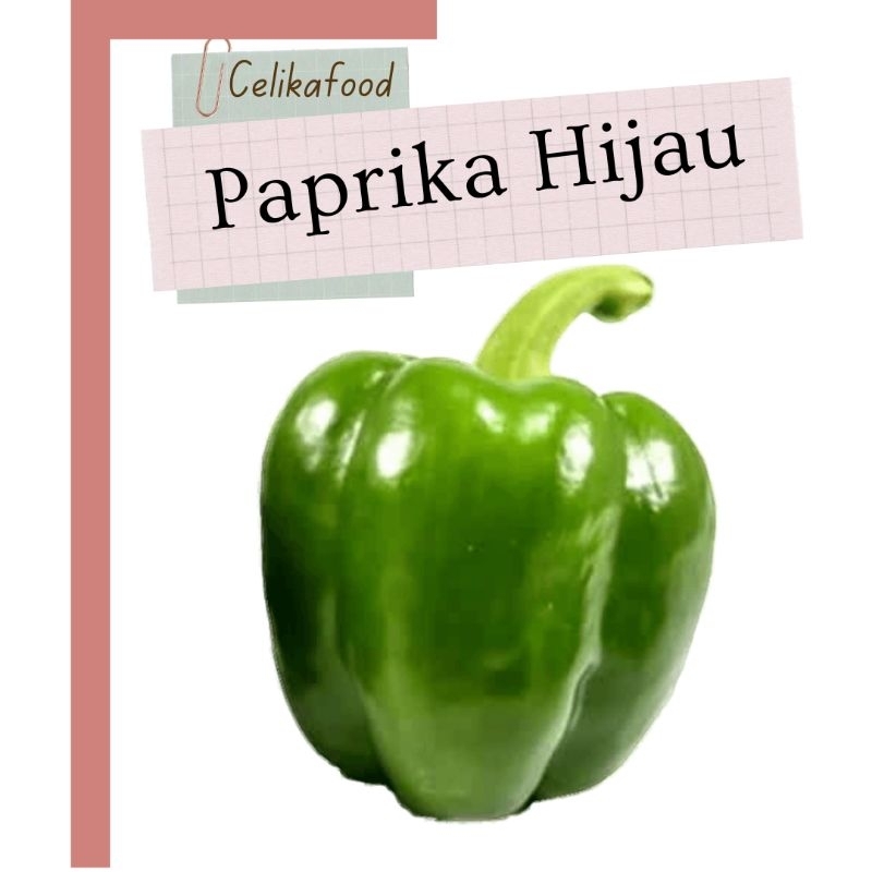 Jual Paprika Hijau 1 Pcs Peppers Cabai Cabe Besar Fresh Vegetable ...