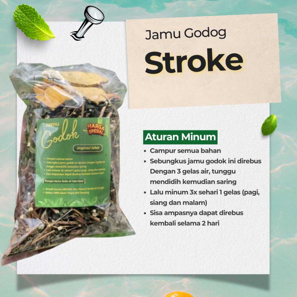 Jual jamu untuk sakit stroke ringan atau lumpuh l herbal stroke A1 ...