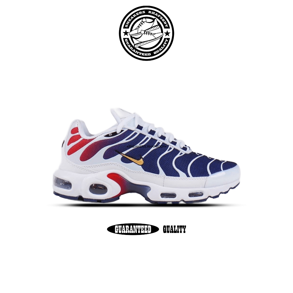 Jual Nike Air Max Plus Tn Paris | Shopee Indonesia