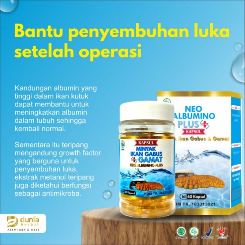 Jual NEO ALBUMINO Minyak ikan gabus plus gamat | Shopee Indonesia