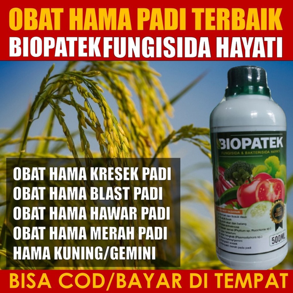 Jual Obat Hama Kresek Padi BIOPATEK Fungisida Hayati 500ML Terbaik ...