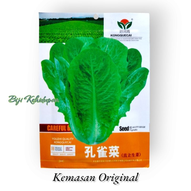 Jual BENIH SAYURAN SELADA ROMAINE IMPORT (KEMASAN ORIGINAL) | Shopee Indonesia