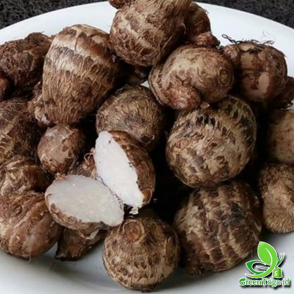 Jual Ubi Talas Tales Mbote Fresh 1 Kg – Umbi Lezat & Bergizi Khas ...