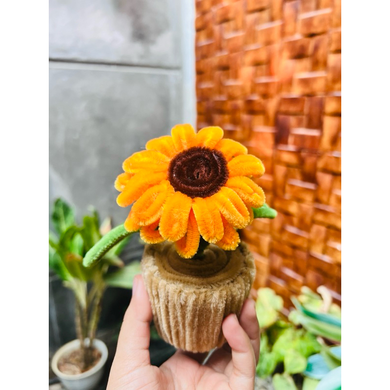 Jual Bunga Bulu Kawat (Sun Flower) | Shopee Indonesia