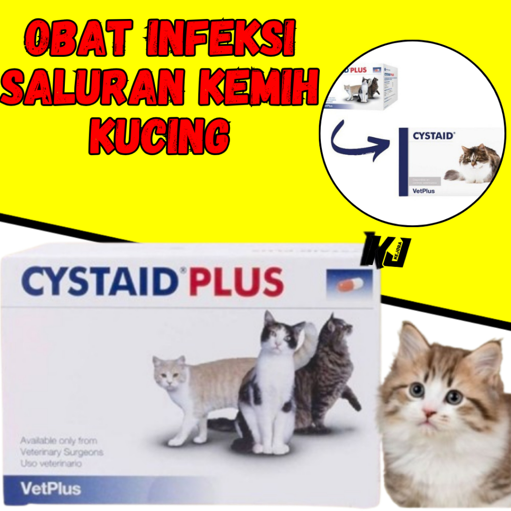 Jual Cystaid Plus Obat Infeksi Saluran Kemih Kucing Obat FLUTD Obat ...