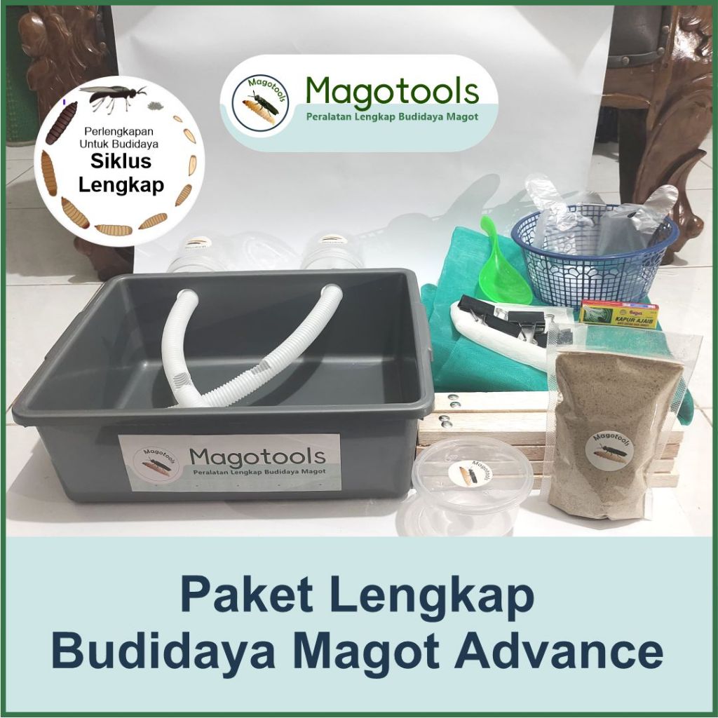 Jual Budidaya Magot Paket Lengkap Skala Rumahan Full Set Lalat BSF ...