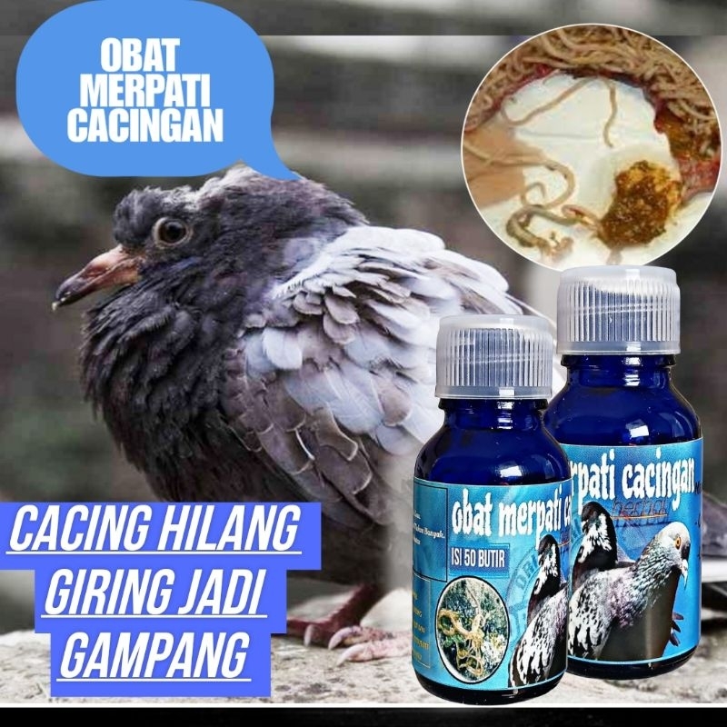 Jual OBAT CACING MERPATI CACINGAN ISI 50 PIL paling ampuh dalam waktu ...