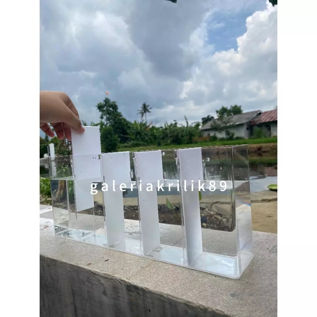 Jual Akuarium Akrilik/soliter Akrillik 5 kamar Uk 35x7x15 Murah | Shopee Indonesia