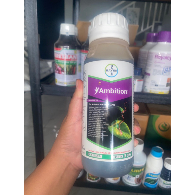 Jual Ambition 500 ml | Shopee Indonesia