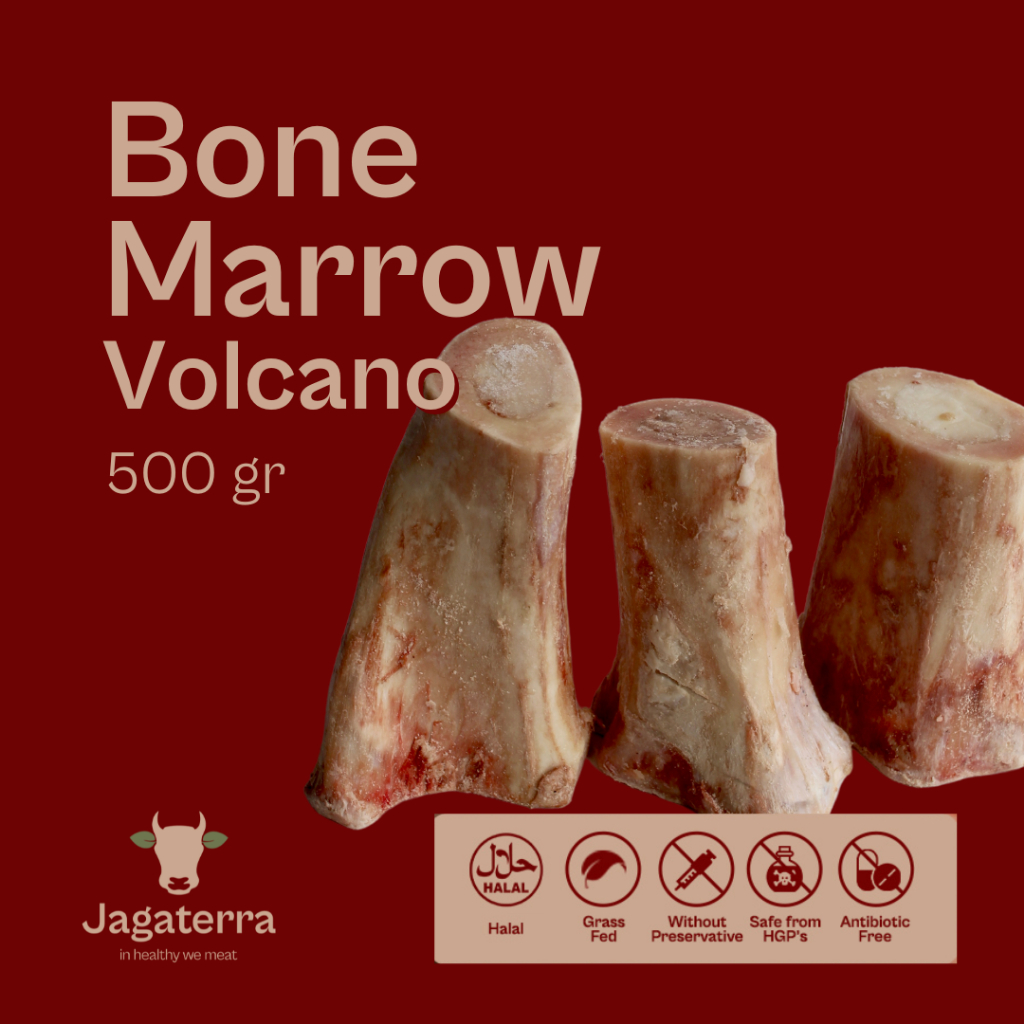 Jual Volcano Bone Marrow (Tulang sumsum) | Shopee Indonesia