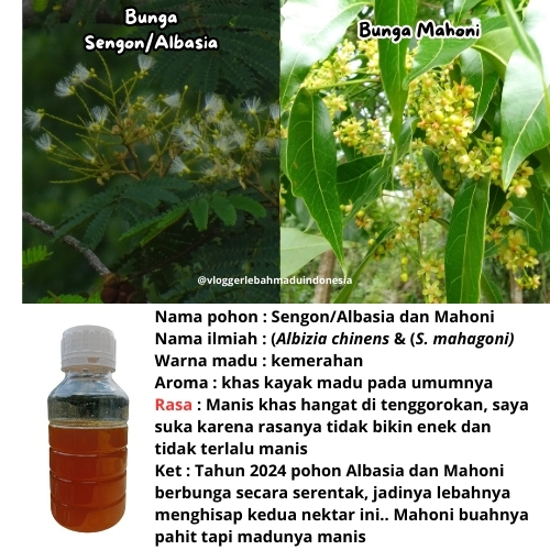 Jual Bunga SENGON & MAHONI |500gr| Madu Asli Hutan Liar Murni 100% ...