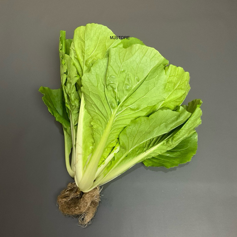 Jual Sayur Caisim Manis Hijau Segar 1 ikat Cesim Fresh Hidroponik ...