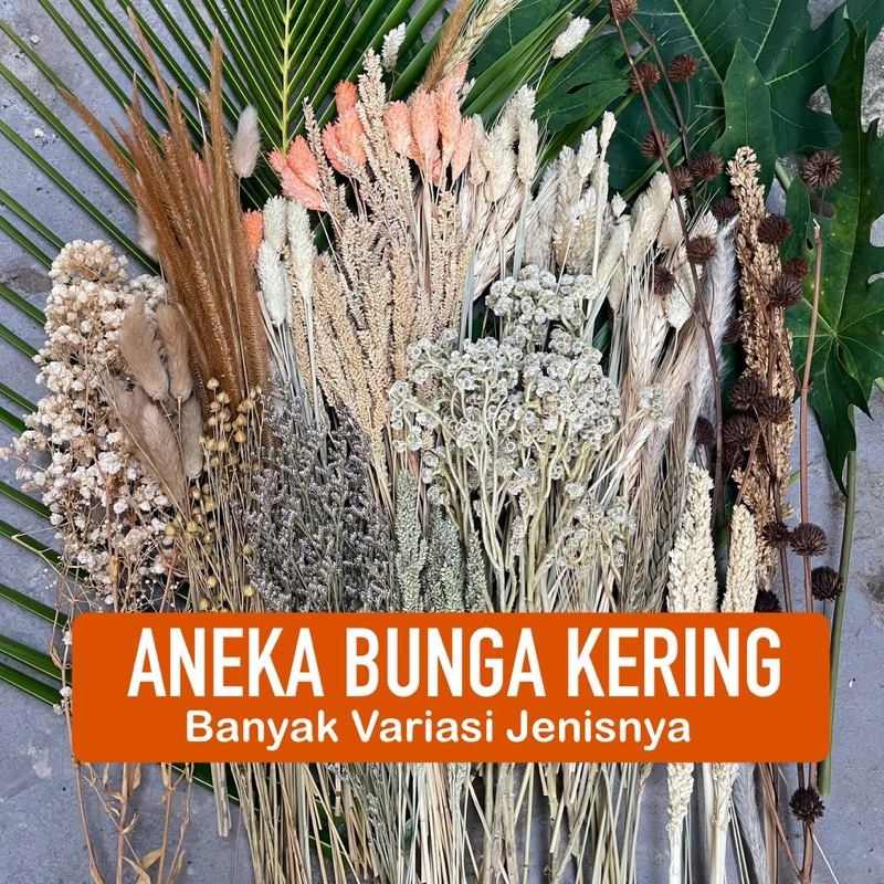 Jual BUNGA KERING DRIED FLOWER Hiasan mahar Ring box Seserahan hantaran ...