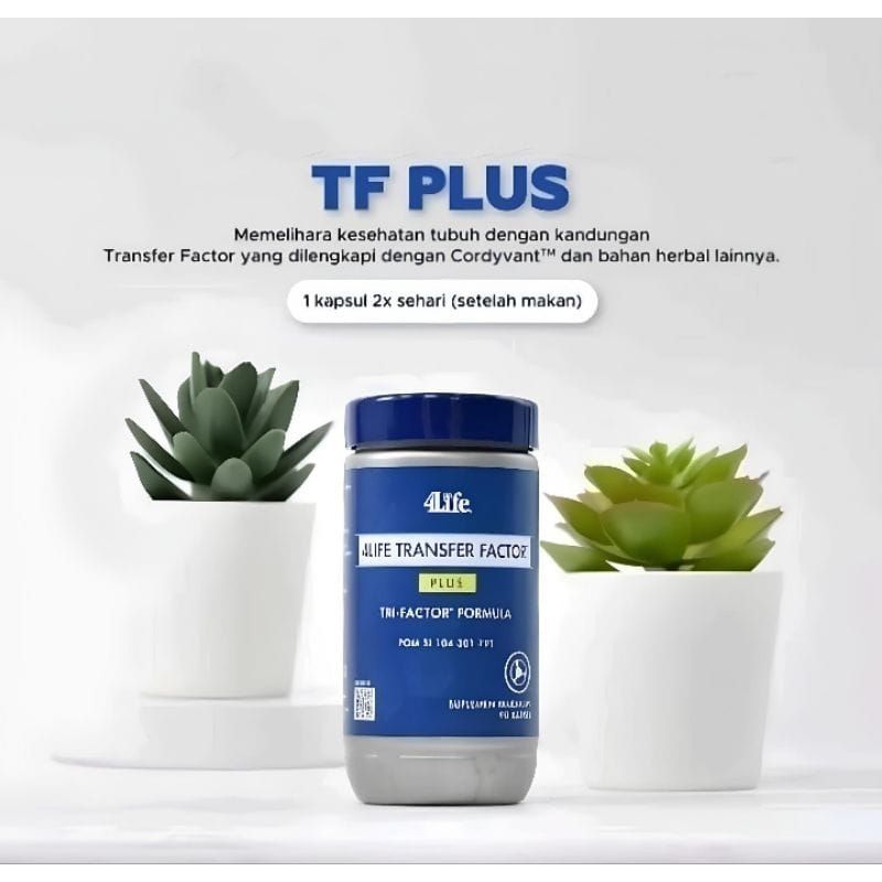 Jual 4life Transfer factor plus Original Isi 90 Obat Vitamin Suplemen ...