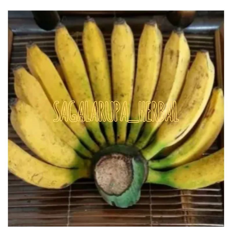 Jual PISANG RAJA BULU MENTAH SEGAR 1 KG | Shopee Indonesia