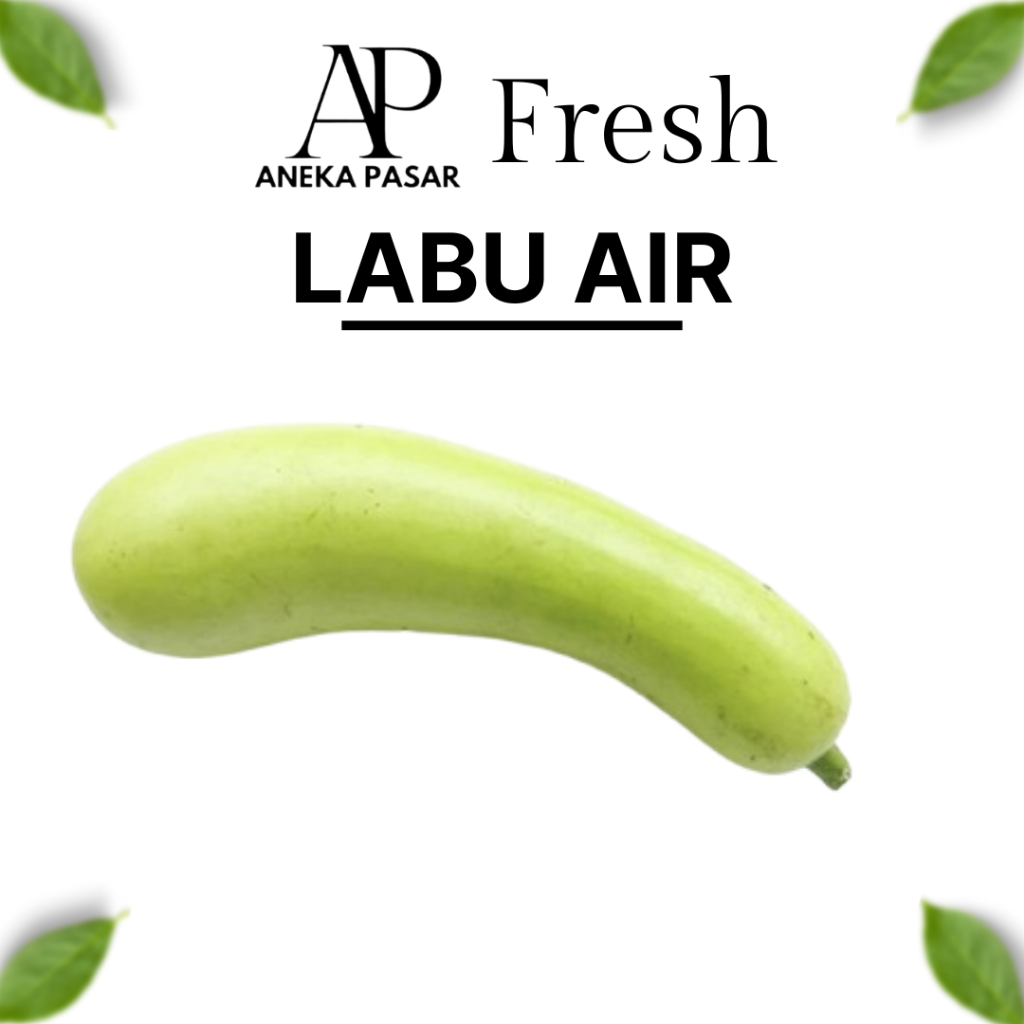 Jual LABU AIR - Per Buah Sayur Sayuran Segar | Shopee Indonesia