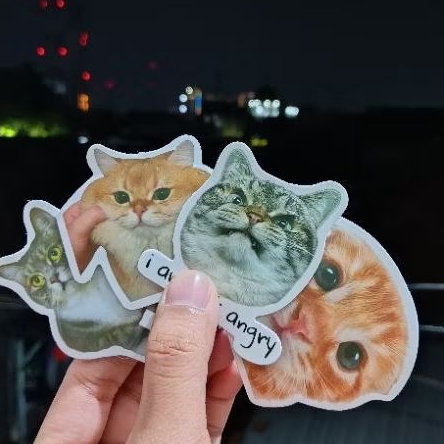Jual STICKER LUCU MEME STICKER KUCING STICKER KARTUN GIFT STICKER ...