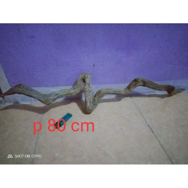 Jual kayu santigi bentuk unik ranting 80 cm | Shopee Indonesia