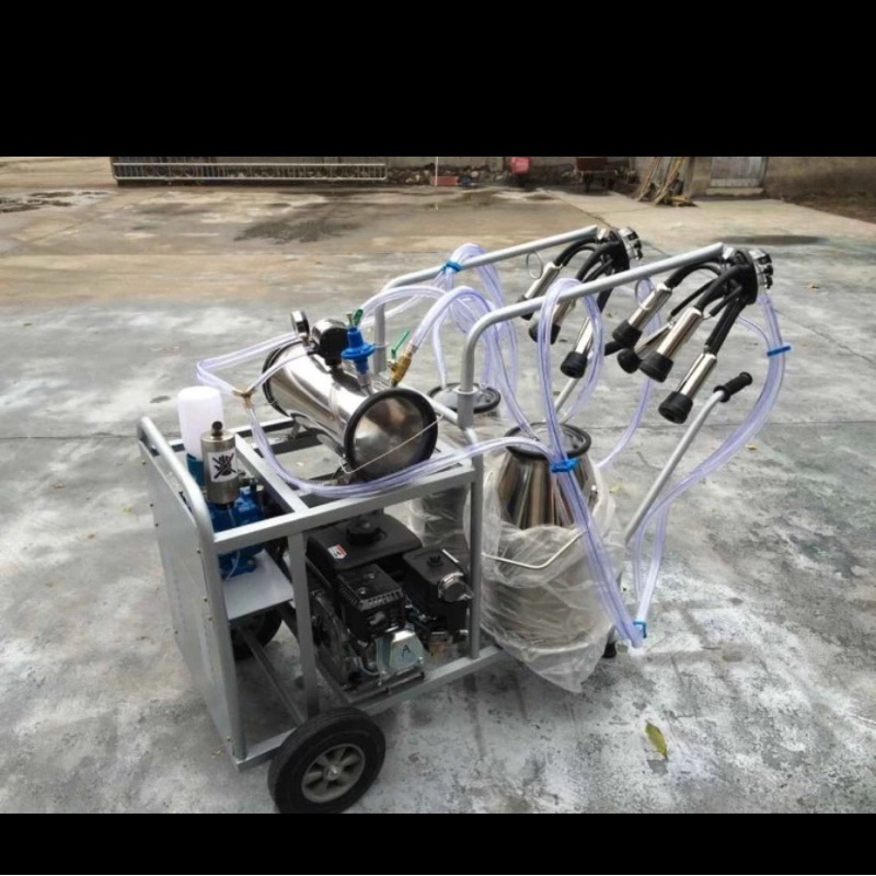 Jual Mesin Perah Portable Double Bukcet Made in China | Shopee Indonesia