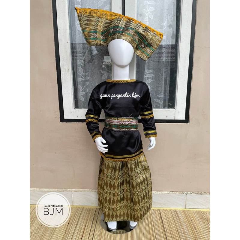 Jual (Ready New!!!) Kumpulan Baju Adat anak dan profesi ukuran TK by ...