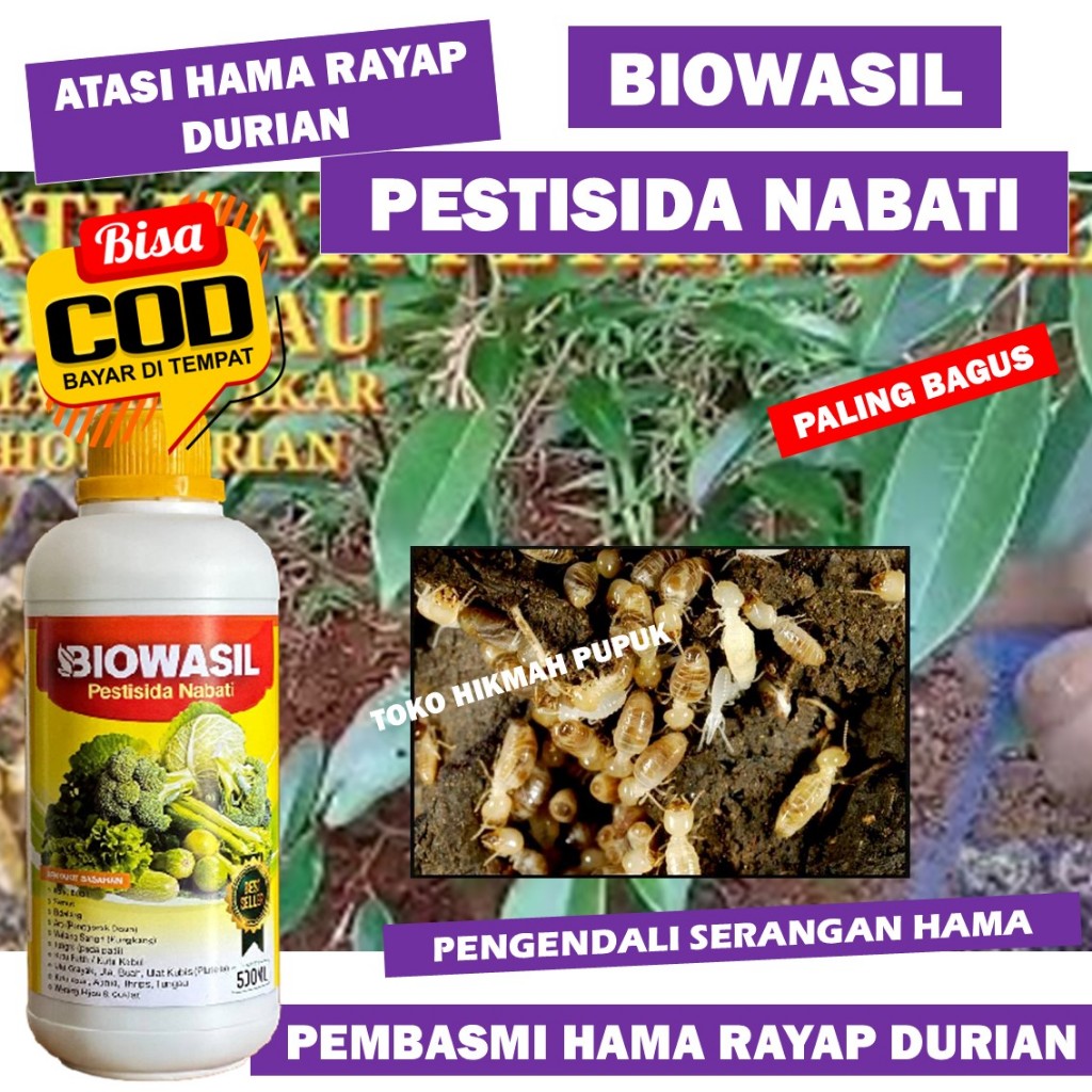 Jual PESTISIDA PEMBASMI HAMA BIOWASIL RAYAP DURIAN Paling Ampuh ...