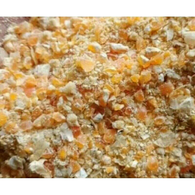 Jual Jagung Giling Selepan Pakan Ayam Dan Burung 1Kg | Shopee Indonesia