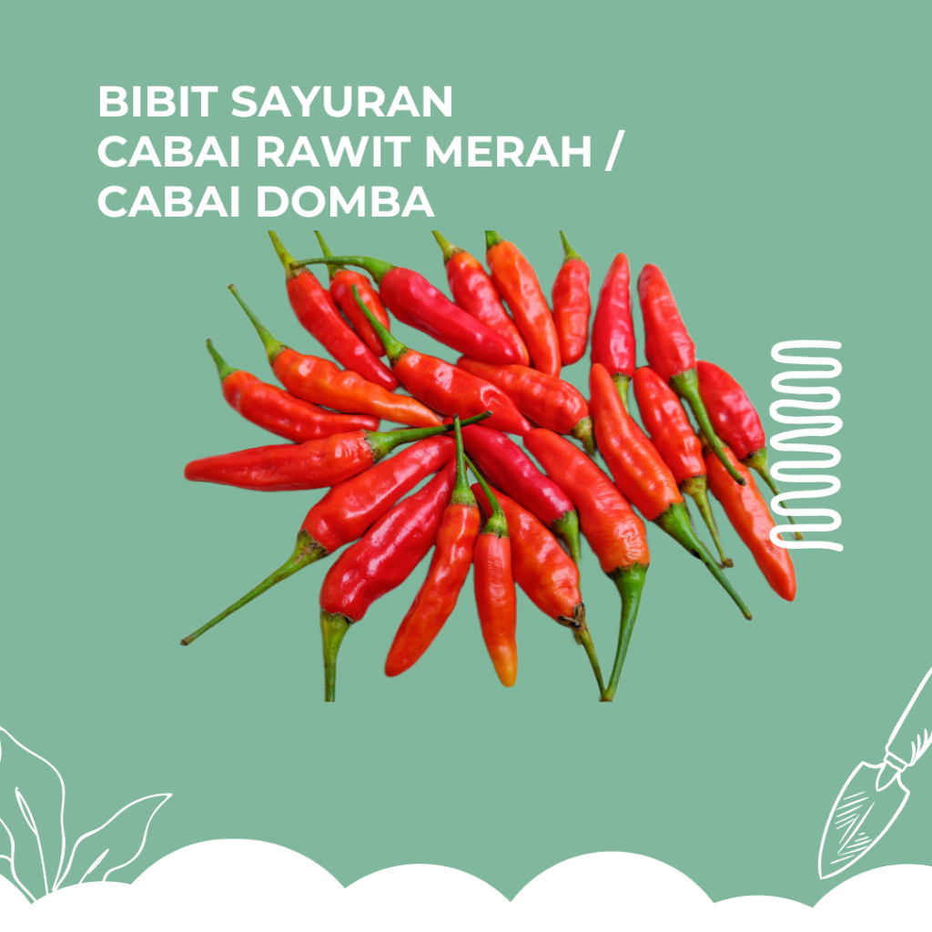 Jual BENIH CABAI RAWIT SETAN -MACAM MACAM BENIH SAYURAN RUMAHAN ...