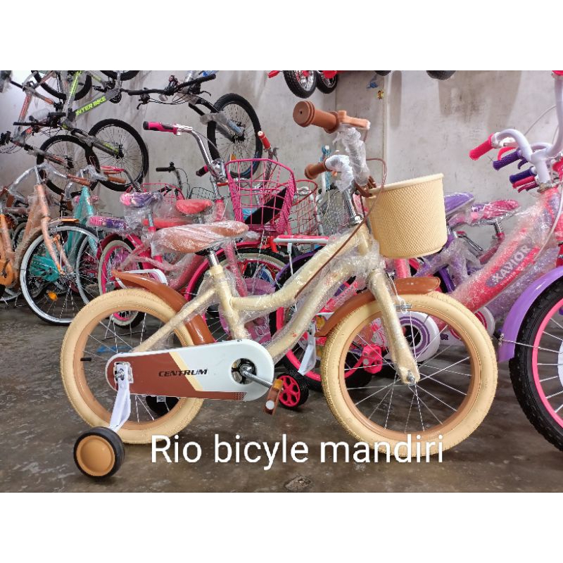 Jual SEPEDA ANAK RING 16 INCHI,MODEL KERANJANG | Shopee Indonesia
