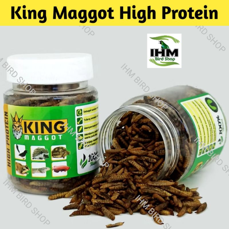 Jual IHM - MAGOT KERING KING MAGGOT 50gr SEMPATI BSF SUPER MAGOT Pet ...