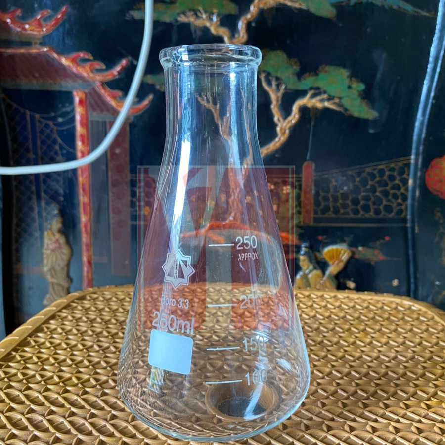 Jual LABU ERLENMEYER 250ML GELAS TABUNG FLASKS ERLEMENYER BOROSIL ...