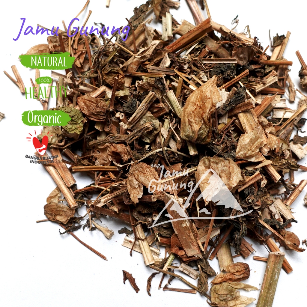 Jual Daun Buah Ciplukan 250gr Kering - Cecendet Bersih dan Murah ...