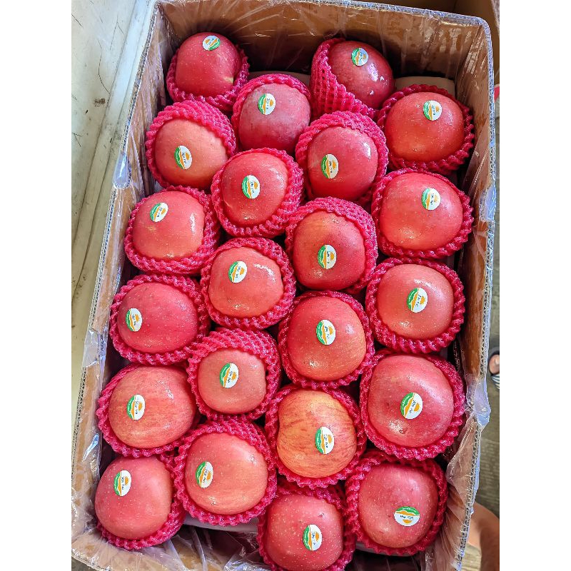 Jual Apel fuji 1kg | Shopee Indonesia