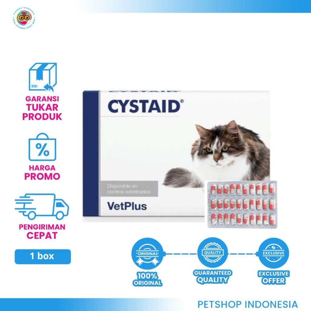 Jual Cystaid Plus 1 STRIP isi 30 kapsul | Shopee Indonesia