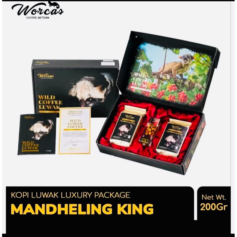 Jual worcas kopi luwak coffee box luxury mandheling king , luwak liar ...