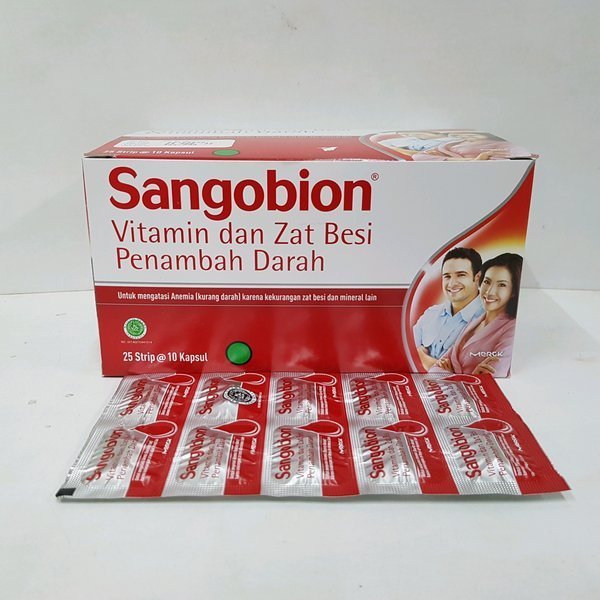 Jual Sangobion Box Besar 1 Strip 10 Kapsul - 1 Box 25 Strip | Suplemen ...