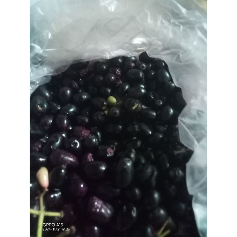 Jual buah Duwet / juwet Jawa/buah jamblang sepet segar 250gram | Shopee ...