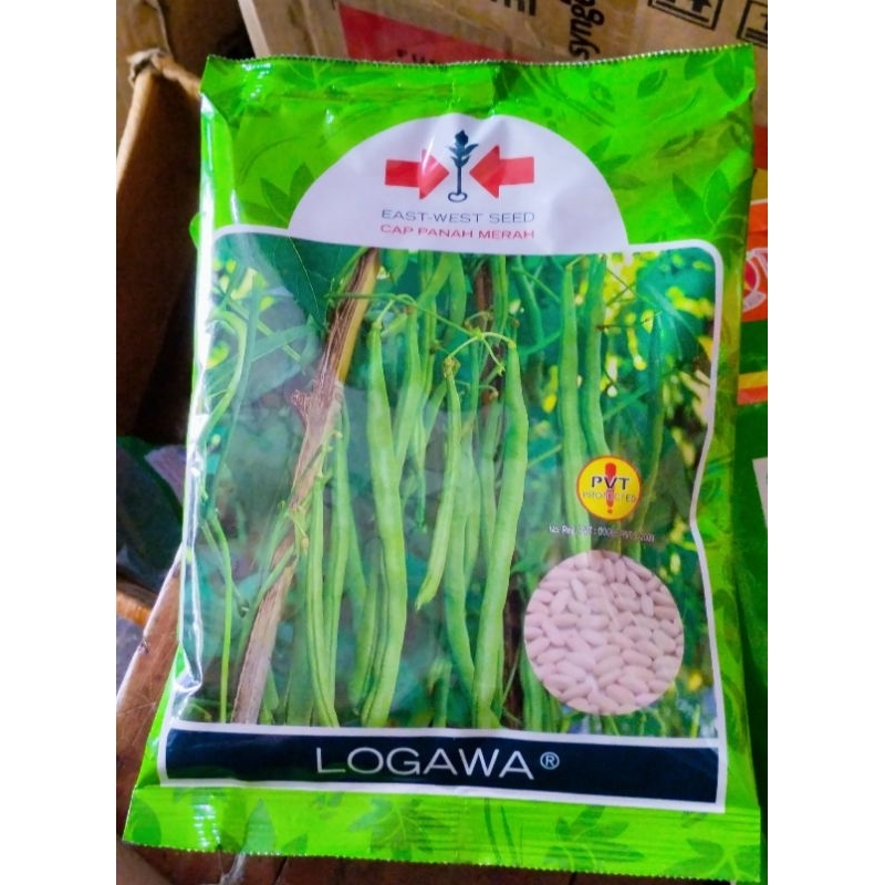 Jual benih buncis logawa | Shopee Indonesia