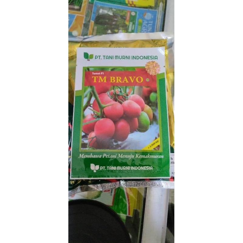 Jual benih tomat TM BRAVO | Shopee Indonesia