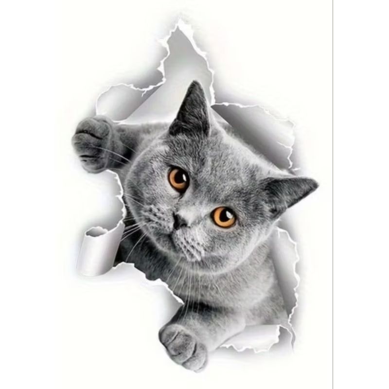 Jual stiker gambar kucing lucu size 15x20 cm print cut | Shopee Indonesia