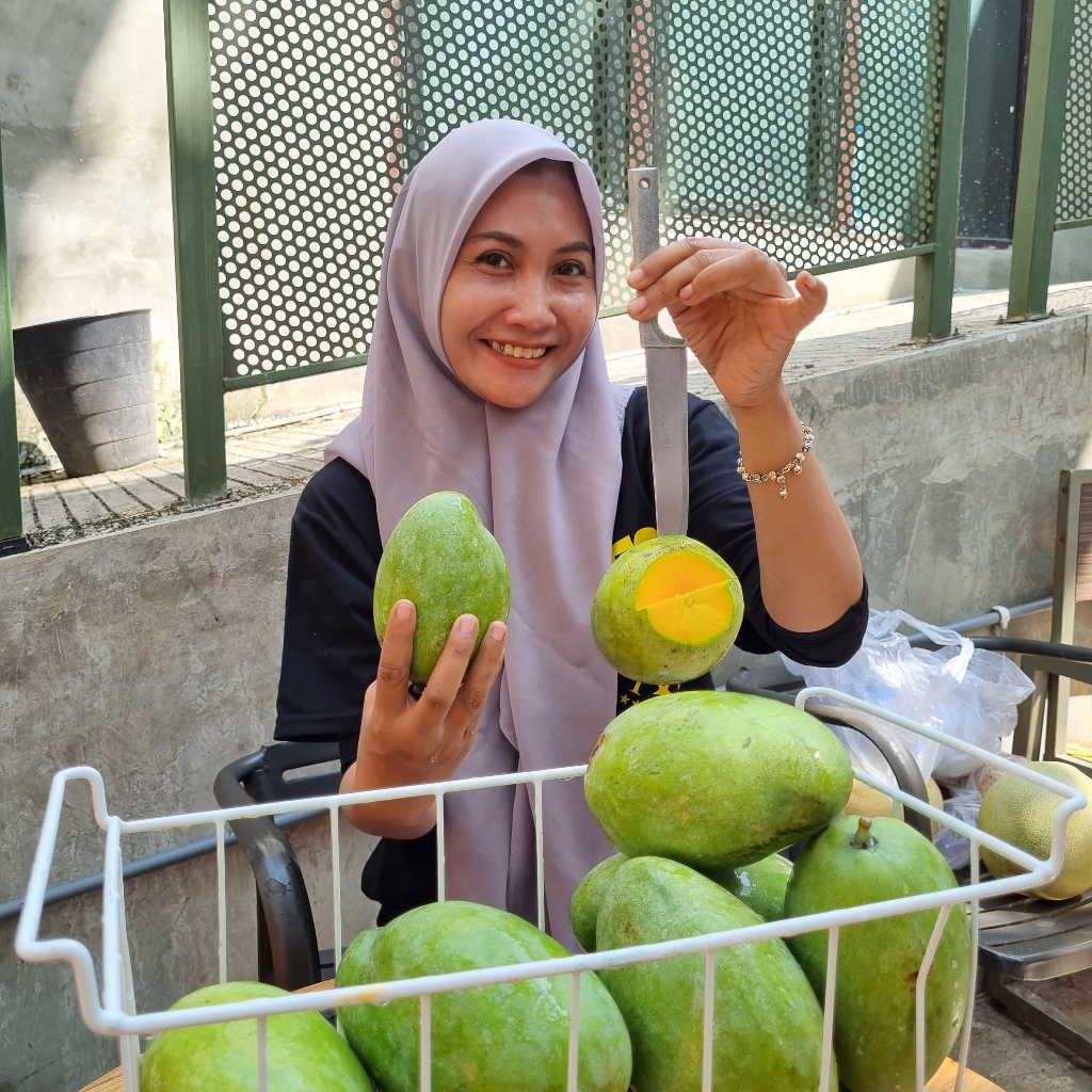 Jual Mangga muda + Bumbu rujak Coleg - Berat mangga (1kg) | Shopee ...