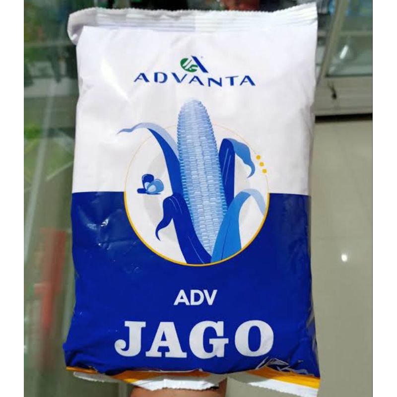 Jual Benih Jagung Advanta Jago Kemasan 1 kg | Shopee Indonesia