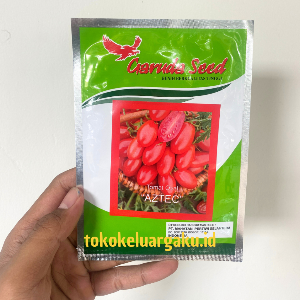 Jual Benih Tomat Oval AZTEC Buah Lonjong Merah Manis Seeds - Garuda ...