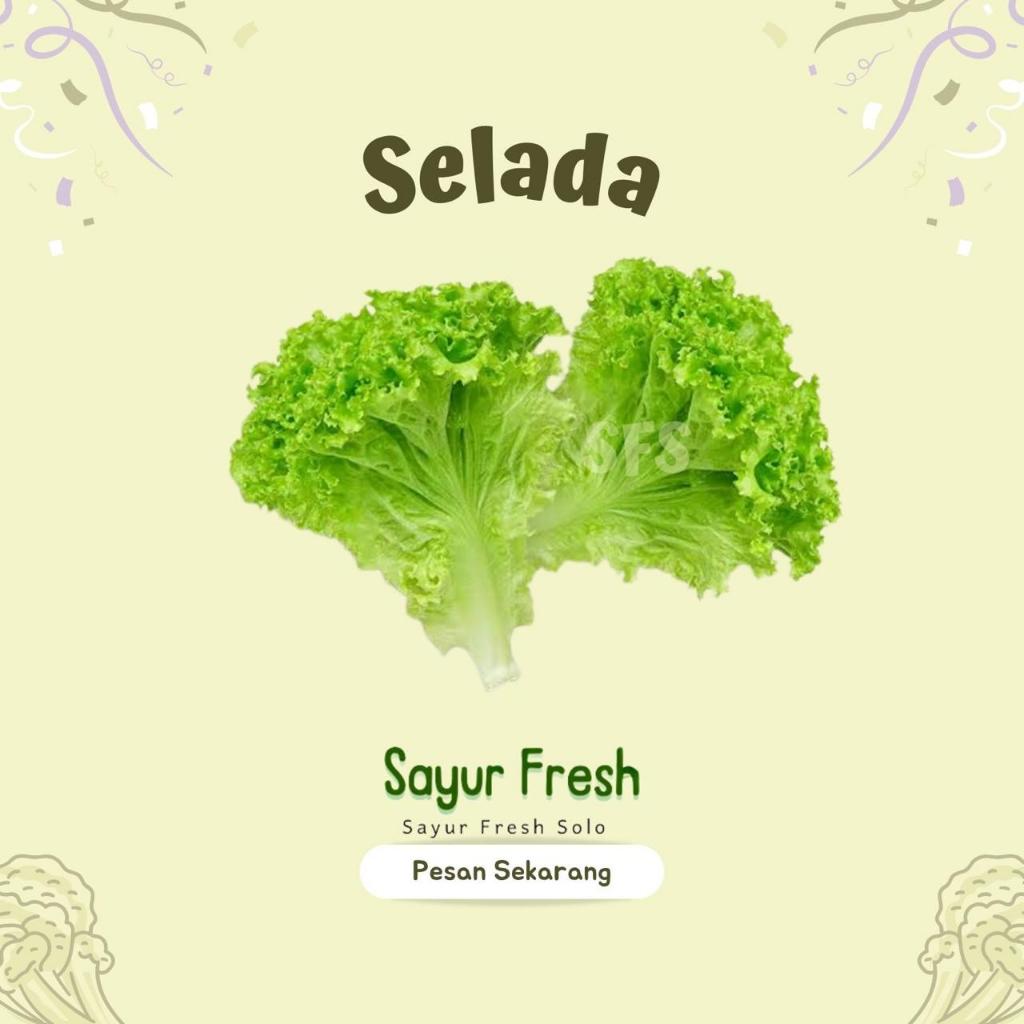 Jual Selada Hijau Segar (Ready Pagi Jam 5-9) - Sayur Fresh Solo ...