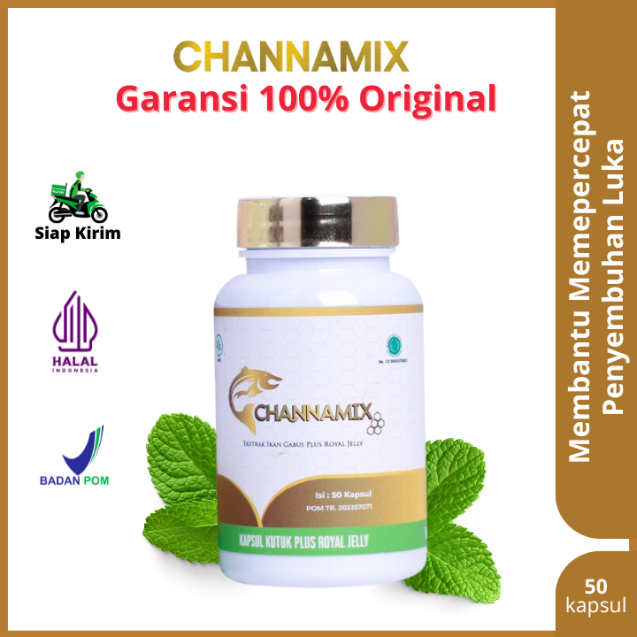 Jual Channamix Original Ikan Gabus Original Obat Pengering dan ...