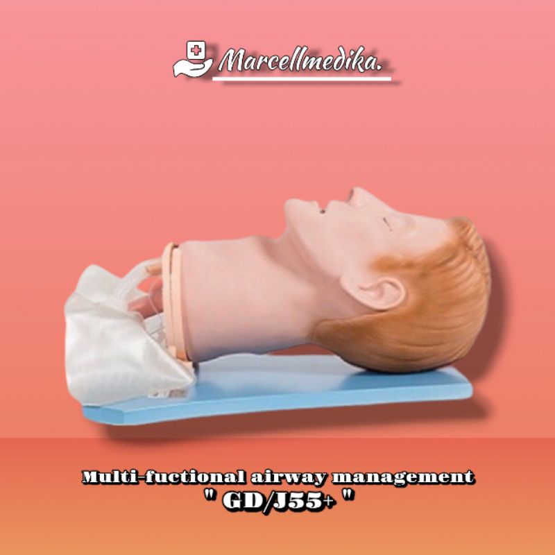 Jual PHANTOM MANIKIN MULTI-FUNCTIONAL AIRWAY MANAGEMENT MODEL GD-J55 ...